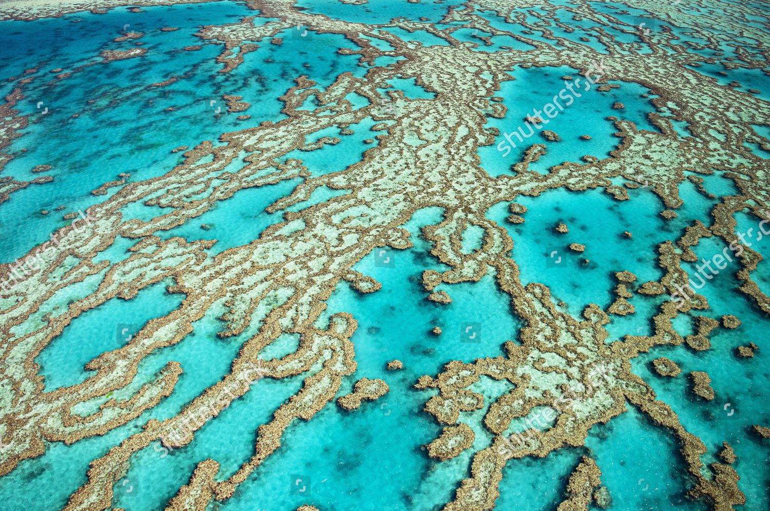 Aerial View Reefs Atolls Great Barrier Editorial Stock Photo - Stock ...
