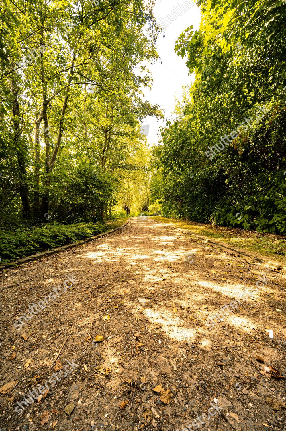 Hiking Trail Through Small Forest Park Editorial Stock Photo - Stock ...