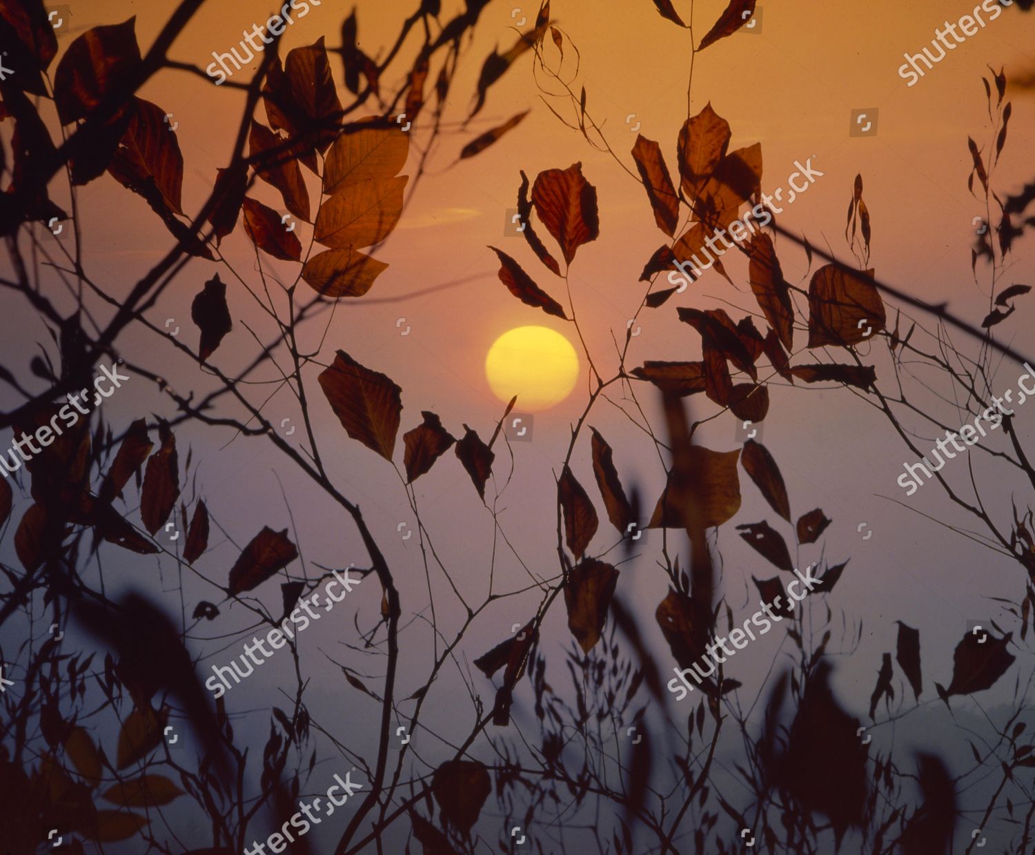 Autumn Mood Sundown Red Sun Evening Editorial Stock Photo - Stock Image ...