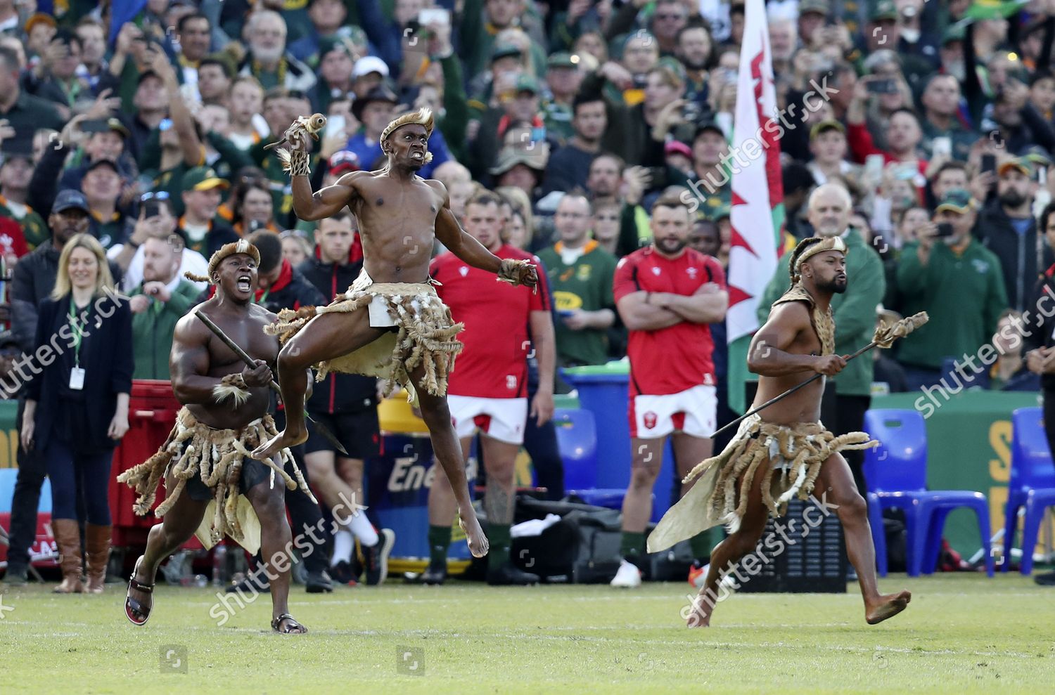 Springboks Warriors During 2022 Castle Lager Editorial Stock Photo ...