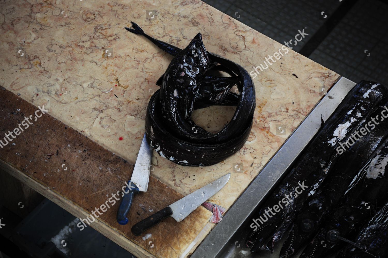 Black Scabbardfish Aphanopus Carbo Madeira Editorial Stock Photo ...