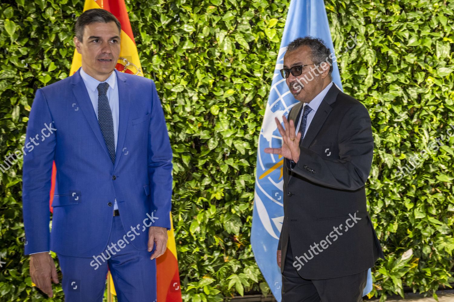 Director General World Health Organization Who Editorial Stock Photo ... Director General World Health Organization Who Editorial Stock Photo ...