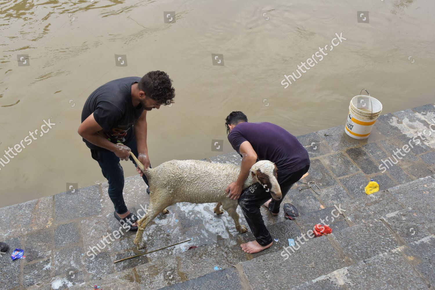 People Wash Sheep Local River Ahead Editorial Stock Photo - Stock Image ...