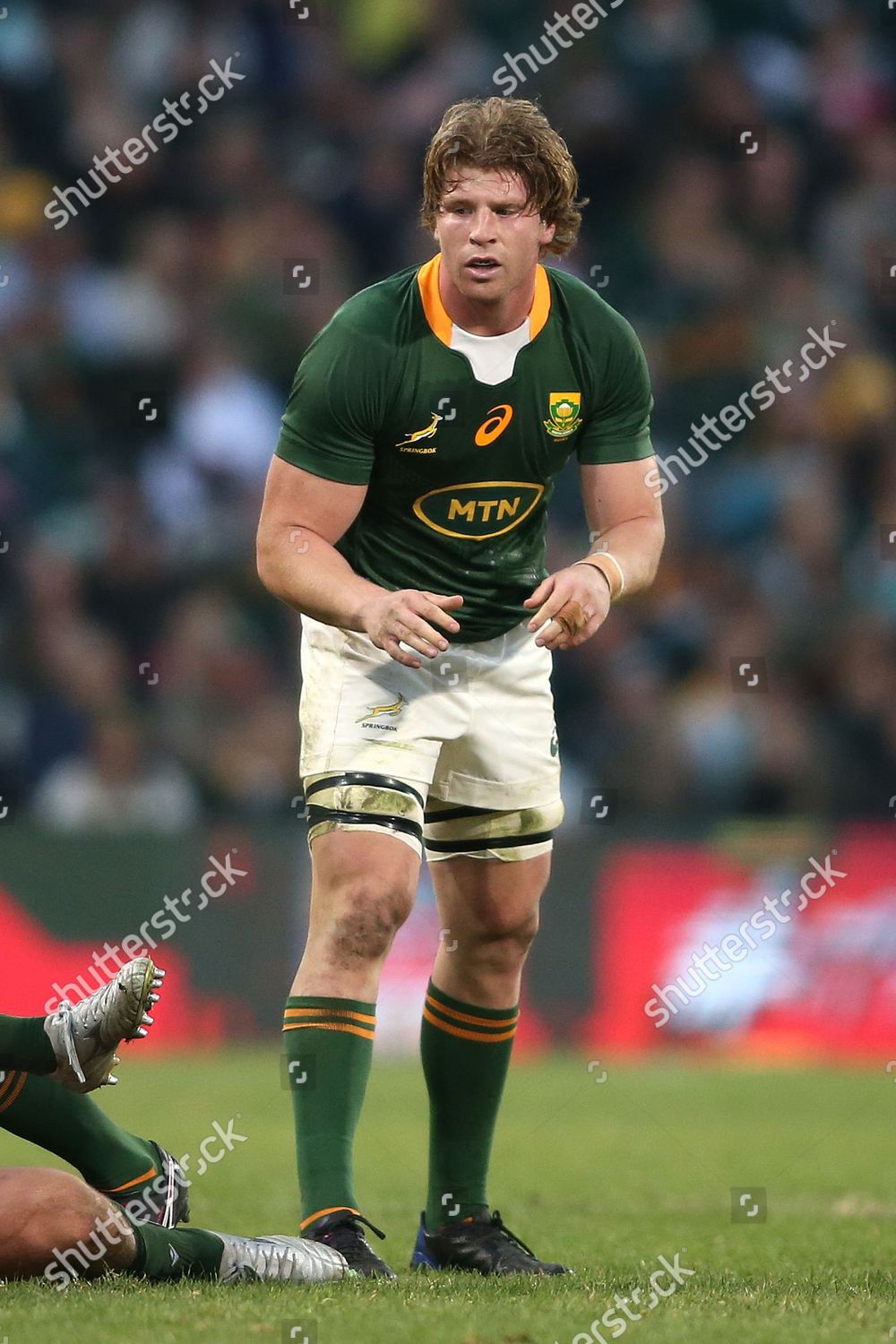 Evan Roos South Africa During 2022 Editorial Stock Photo - Stock Image ...