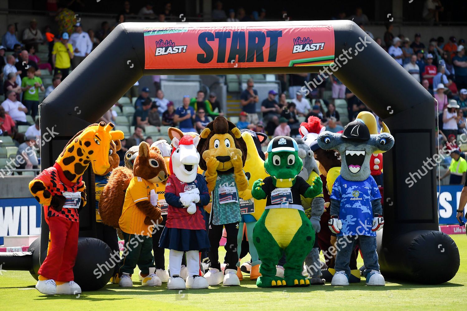 Teams Mascots Line Ahead Mascot Race Editorial Stock Photo - Stock ...