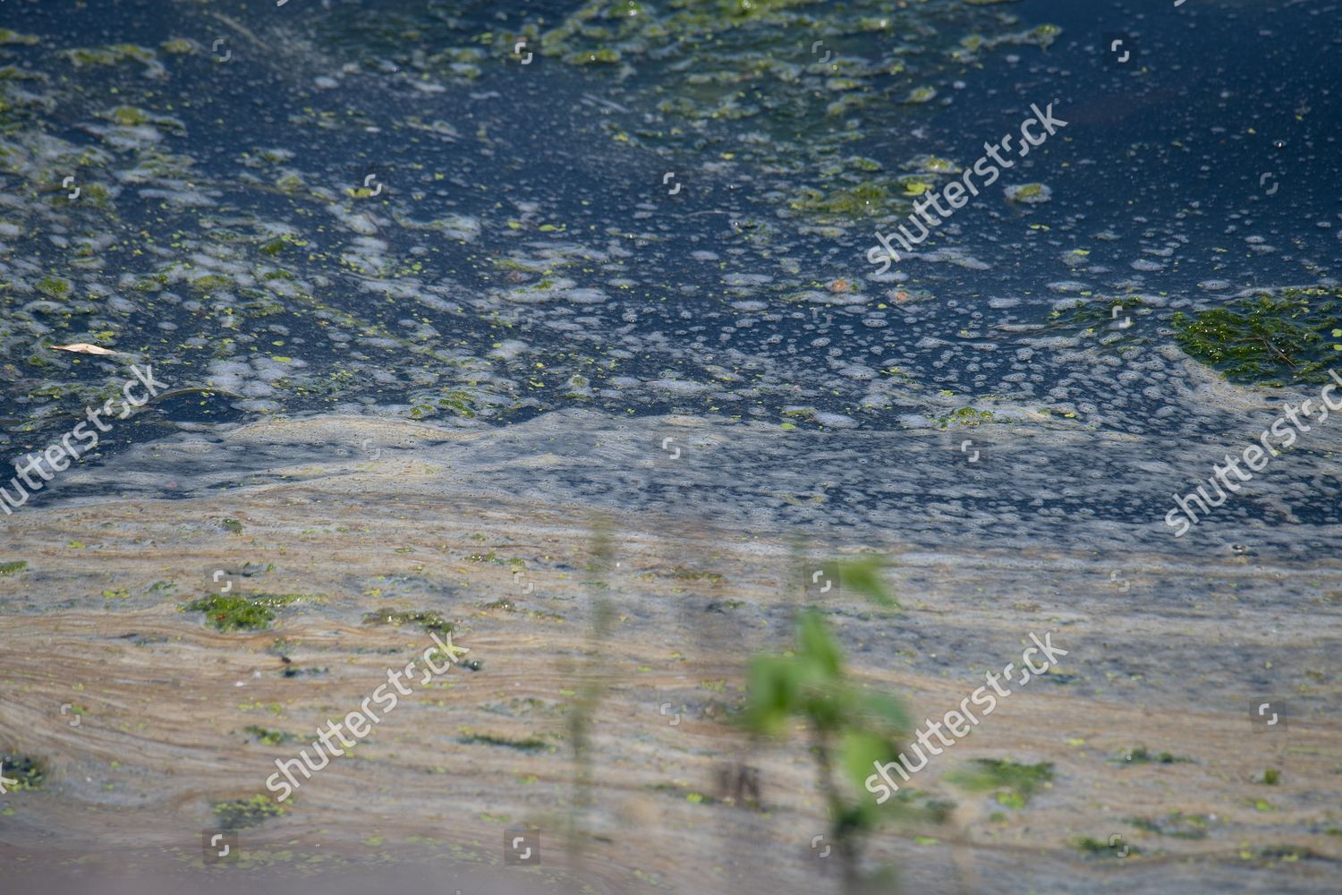 Pollution On Jubilee River Adjacent Slough Editorial Stock Photo ...