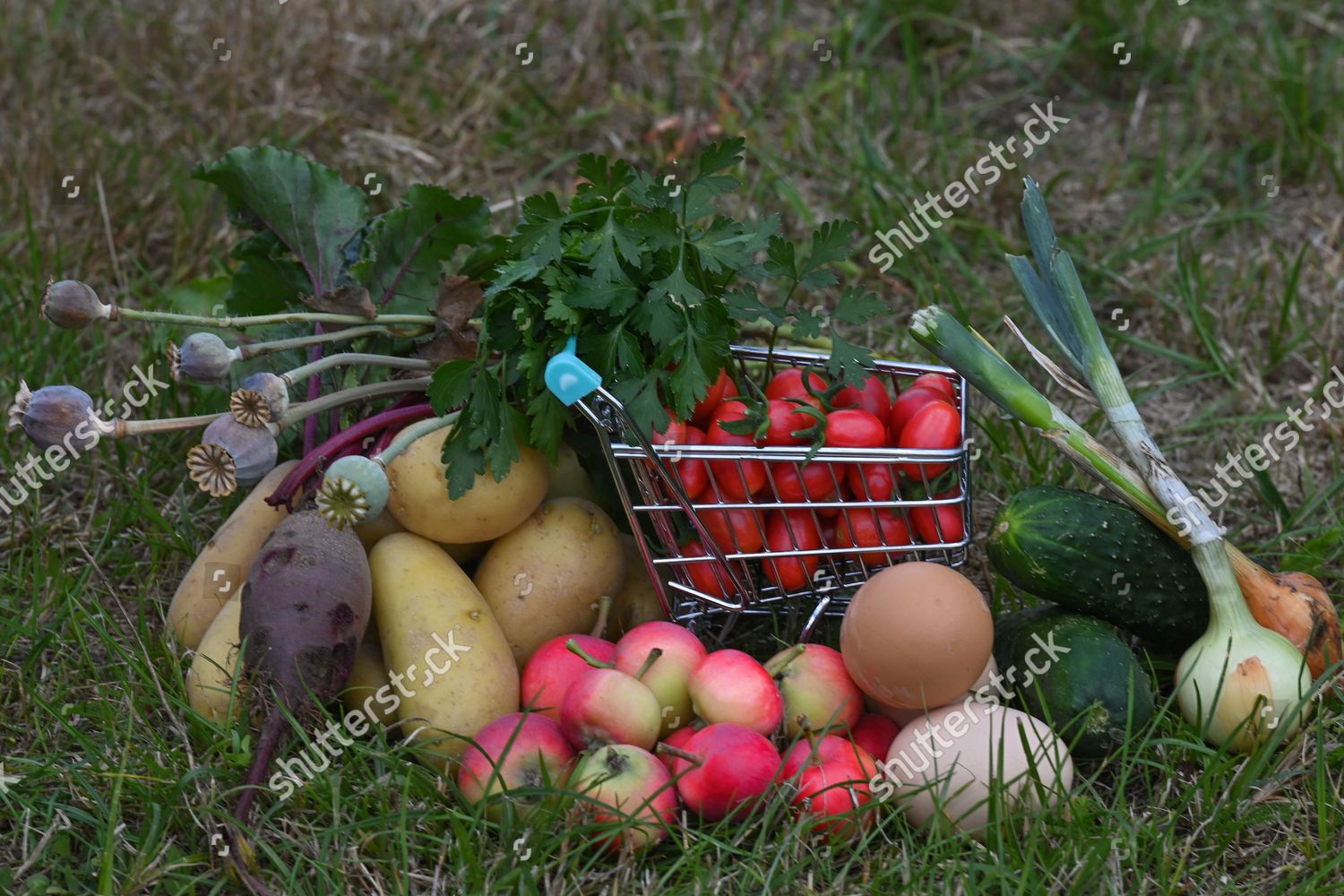 Everyday Basic Food Products Mini Shopping Editorial Stock Photo ...