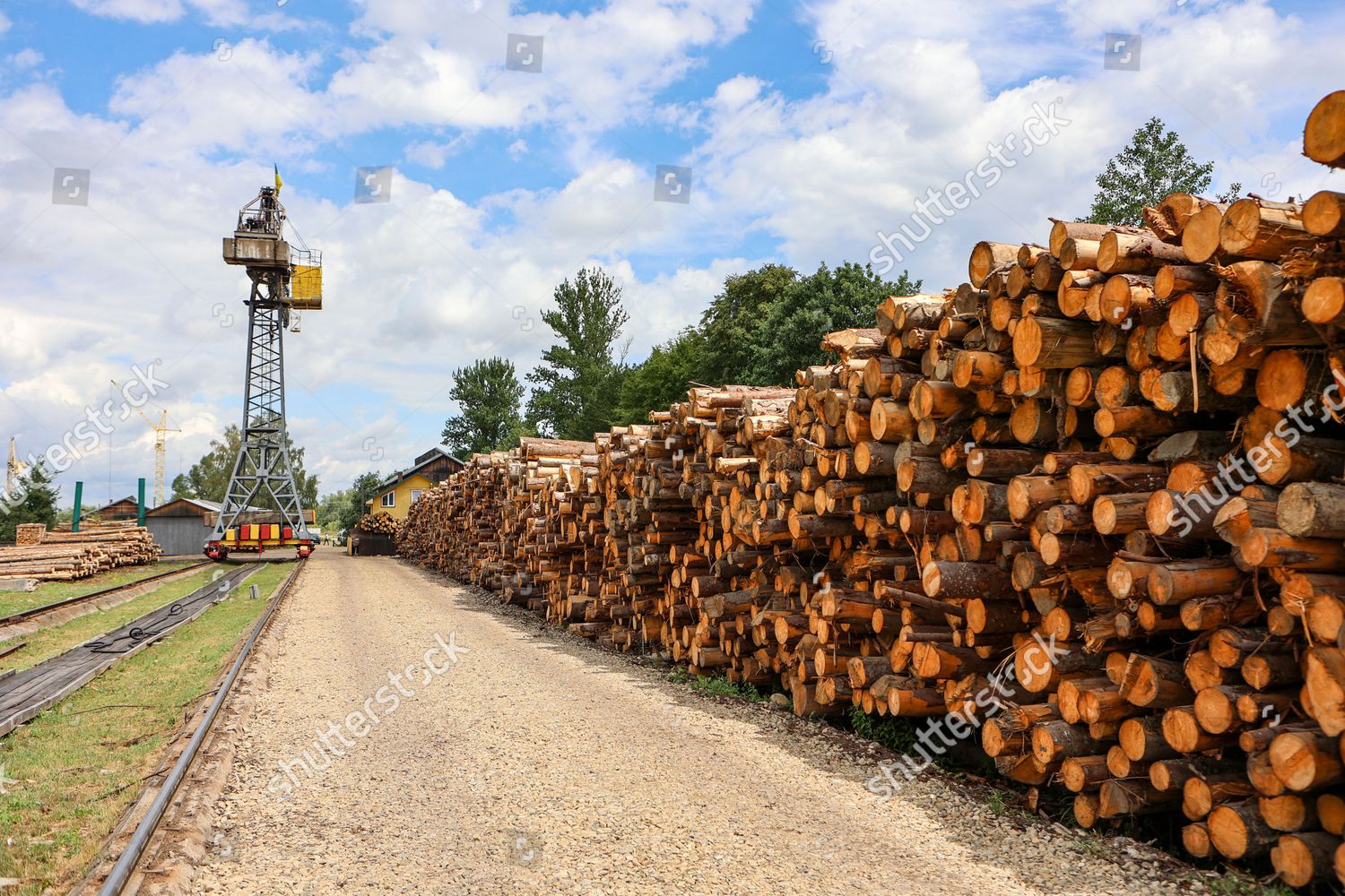 Logging Warehouse Vyhoda Forestry State Enterprise Editorial Stock ...