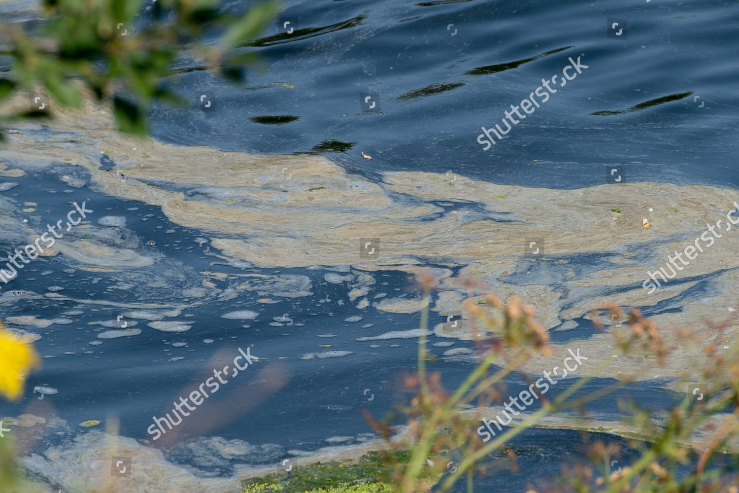 Pollution On Jubilee River Slough On Editorial Stock Photo - Stock ...