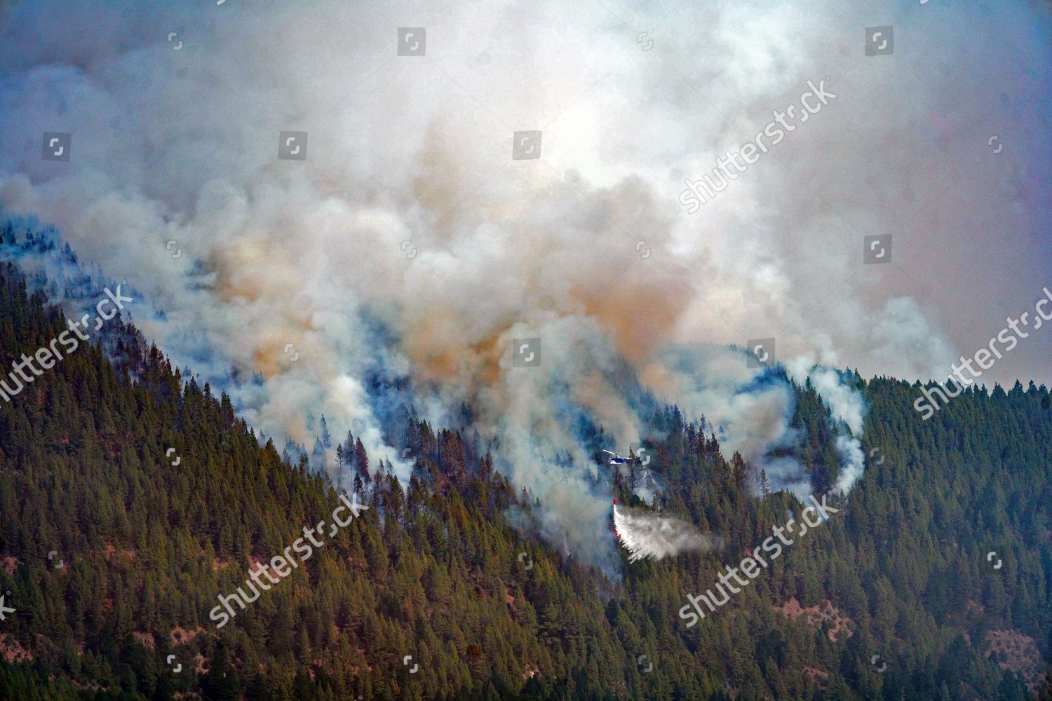 Helicopter Drops Water Extingish Forest Fire Editorial Stock Photo ...