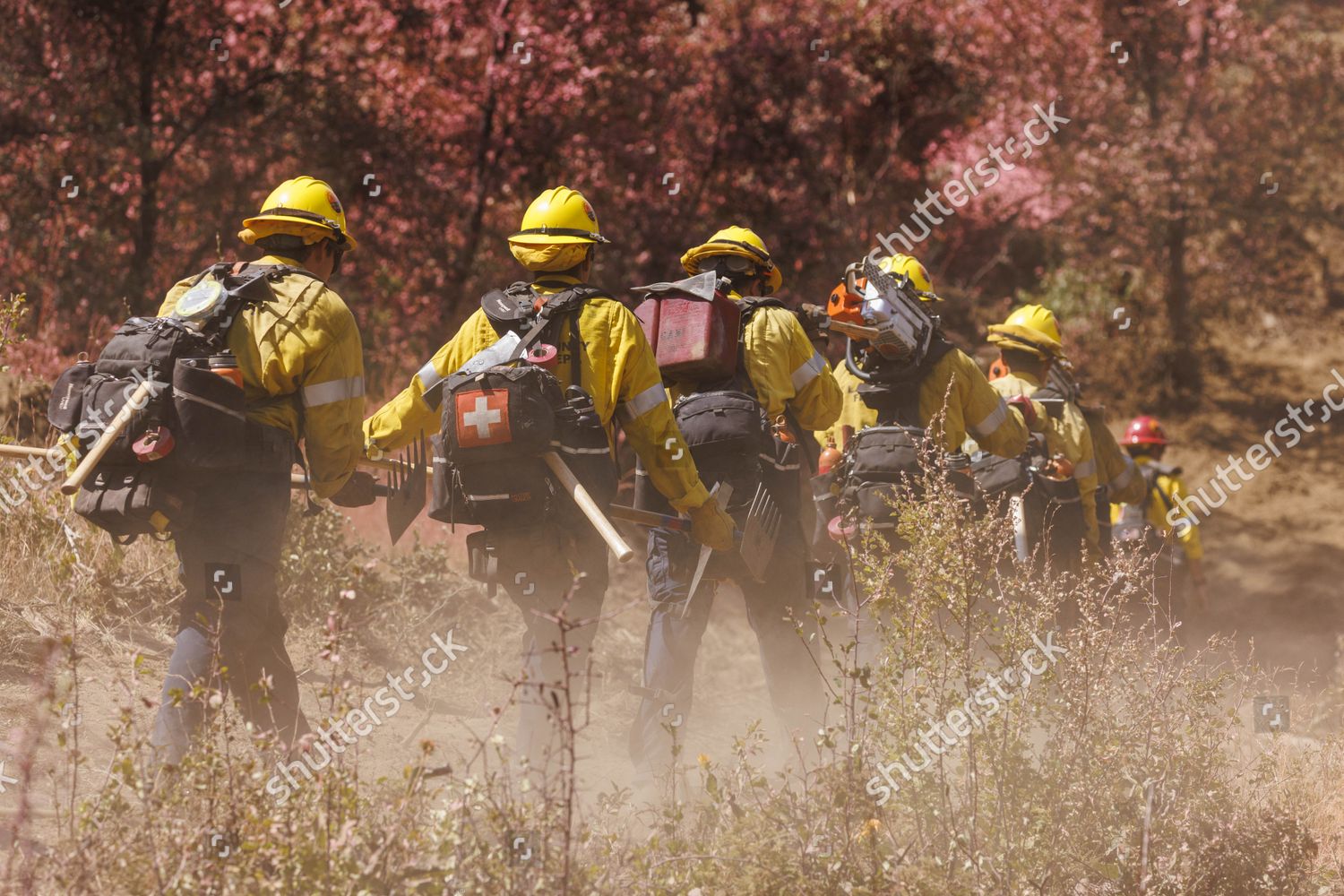 Firefighters Hike On Fire Line Mopup Editorial Stock Photo - Stock ...