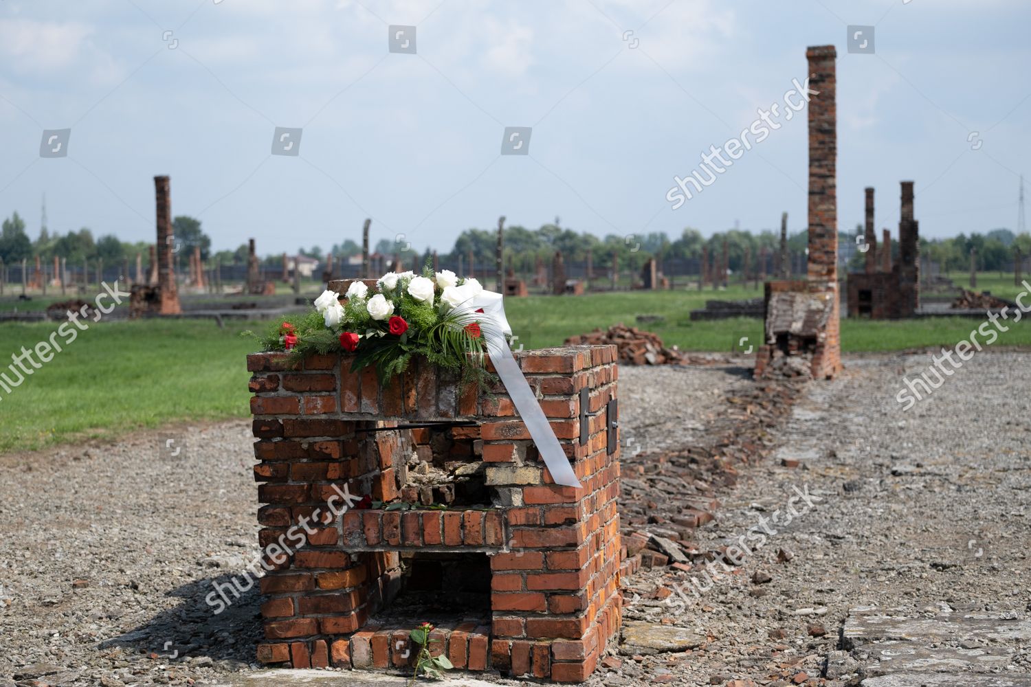 Barracks Rubble Flowers Seen Former Camp Editorial Stock Photo - Stock ...