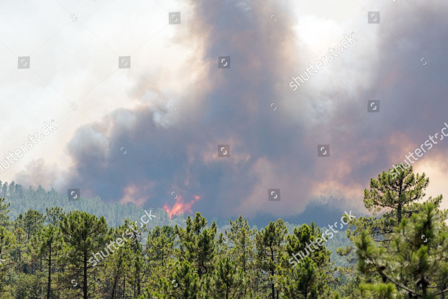Dense Smoke Darkens Sky Reignited Forest Editorial Stock Photo - Stock ...