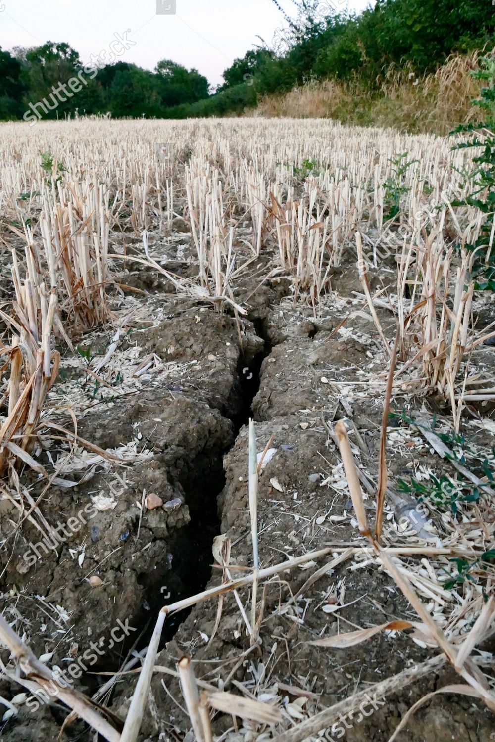 Deep Ground Fissures Farmers Fields After Editorial Stock Photo - Stock ...