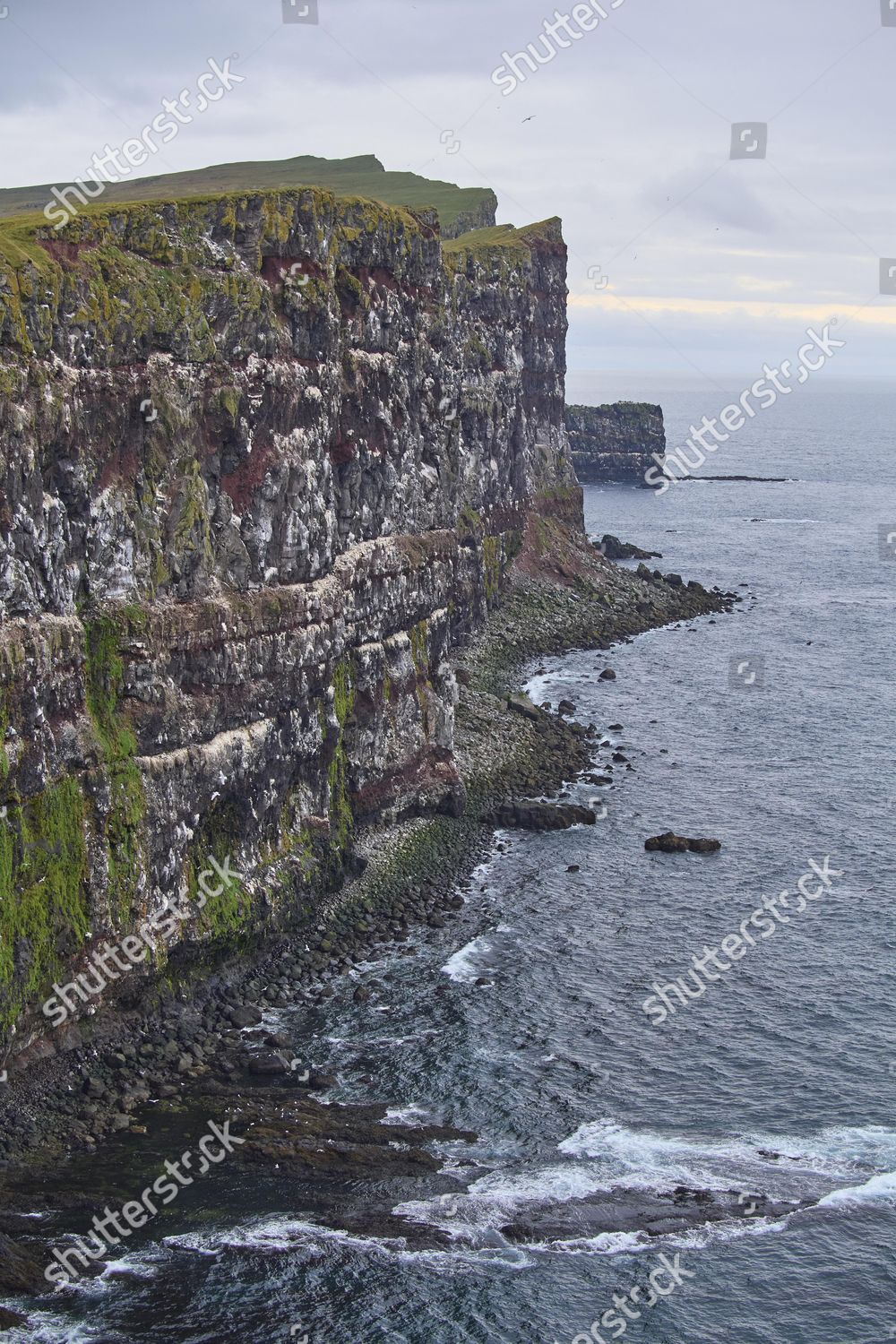 Large Bird Cliffs Latrabjarg Vestfirdir Westfjords Editorial Stock ...