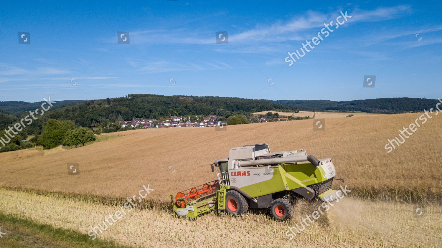 Combine Harvester Harvesting Rapeseed Field Near Editorial Stock Photo ...