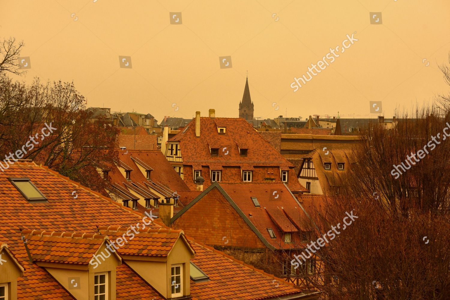 Upwelling Sand Sahara Totally Colours Ochre Editorial Stock Photo ...