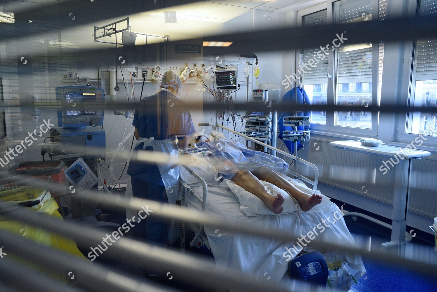 Safe Arrival Covid Service Covid19 Orangerie Editorial Stock Photo ...