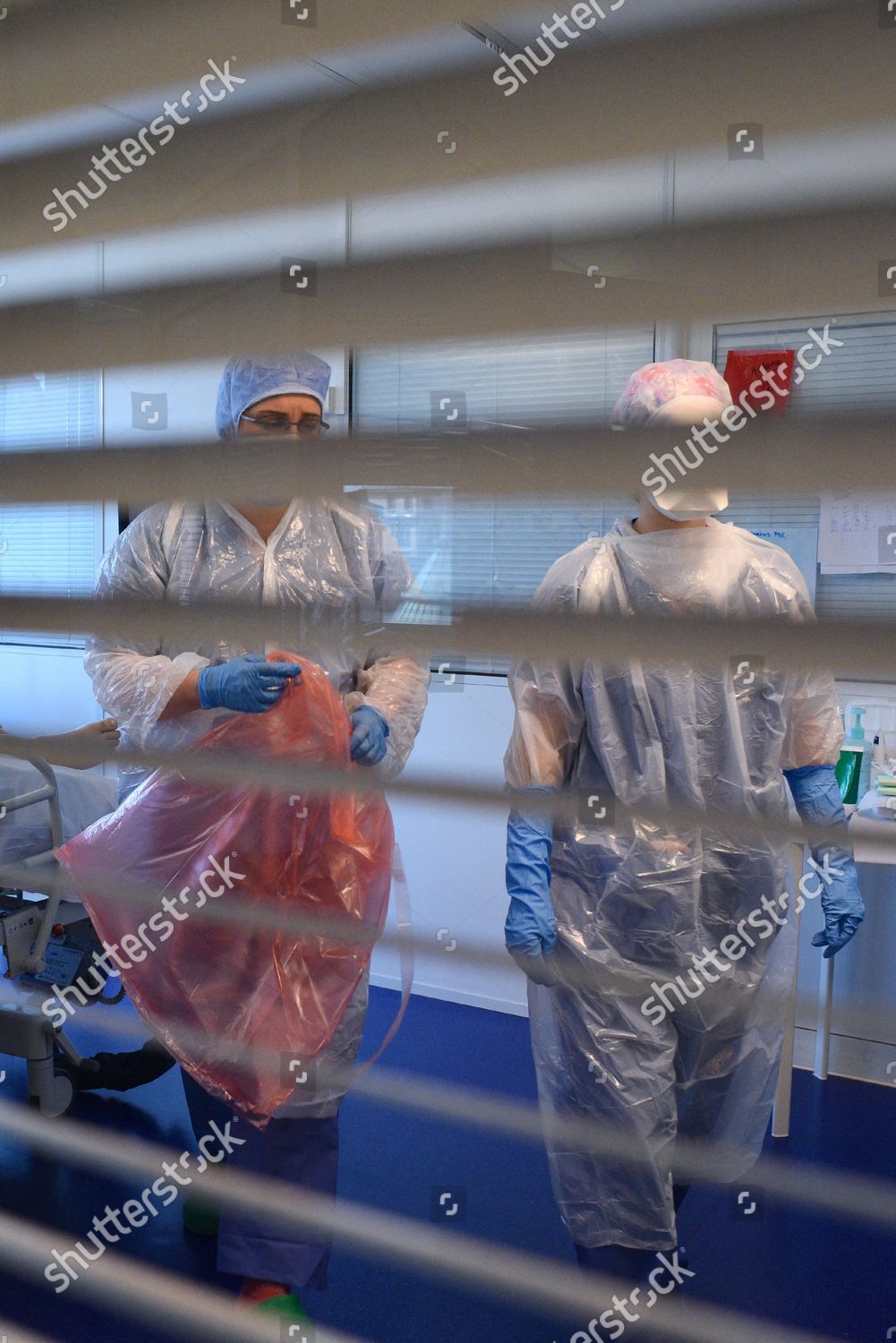 Safe Arrival Covid Service Covid19 Orangerie Editorial Stock Photo ...