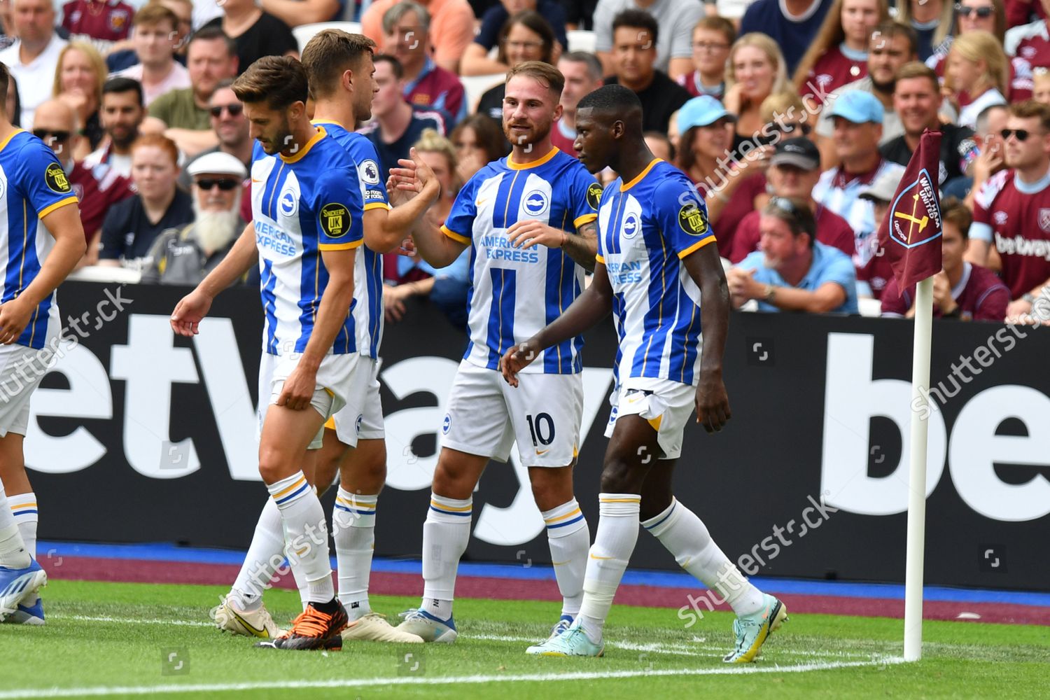 Alexis Mac Allister Brighton Hove Albion Editorial Stock Photo - Stock Image | Shutterstock