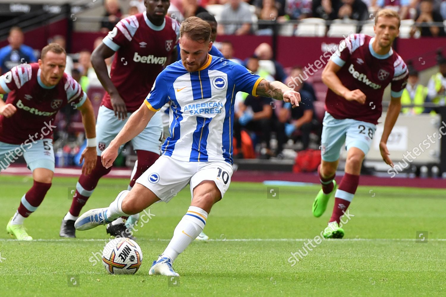 Alexis Mac Allister Brighton Hove Albion Editorial Stock Photo - Stock Image | Shutterstock