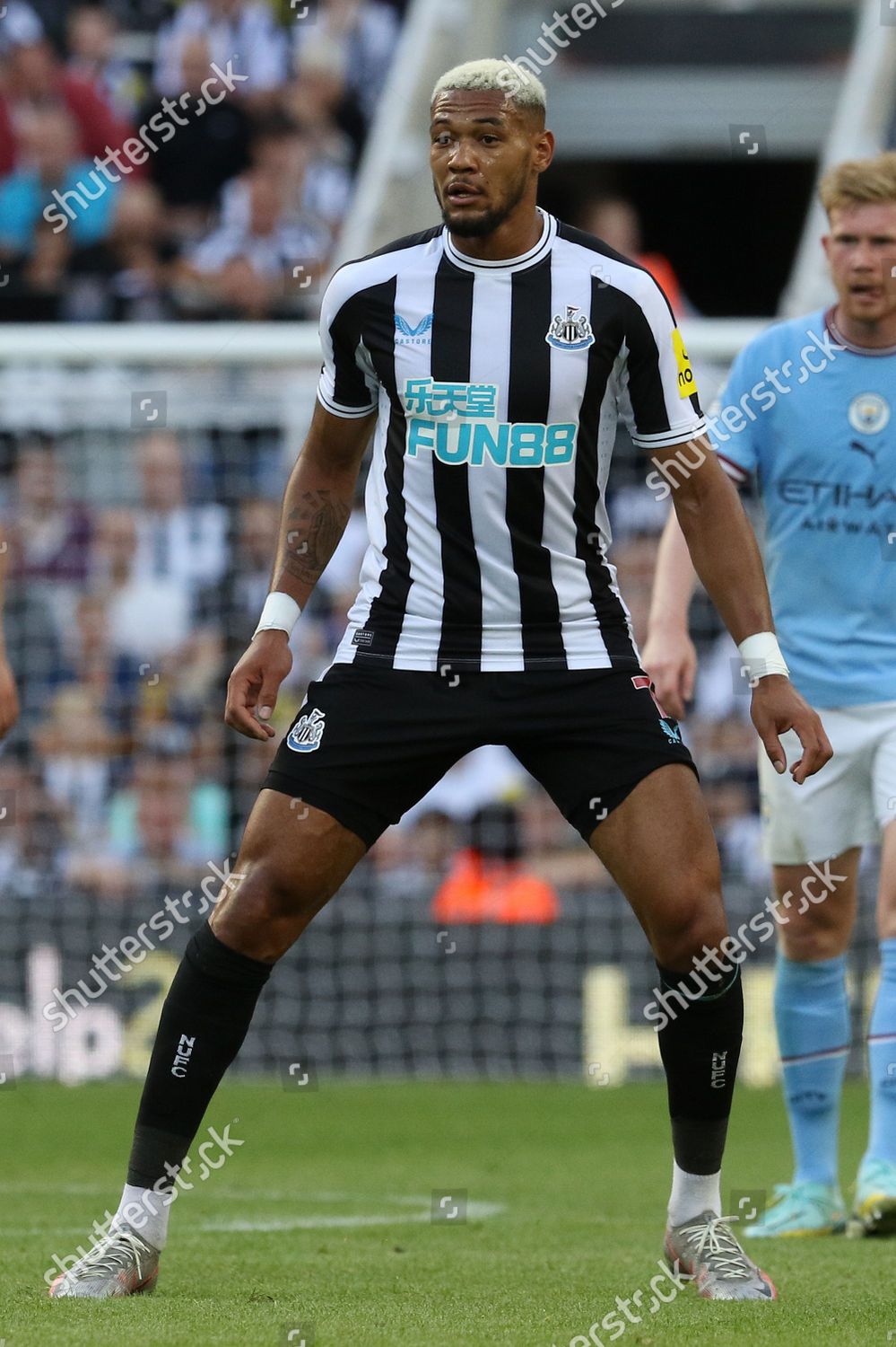Joelinton Newcastle United During Premier League Editorial Stock Photo ...