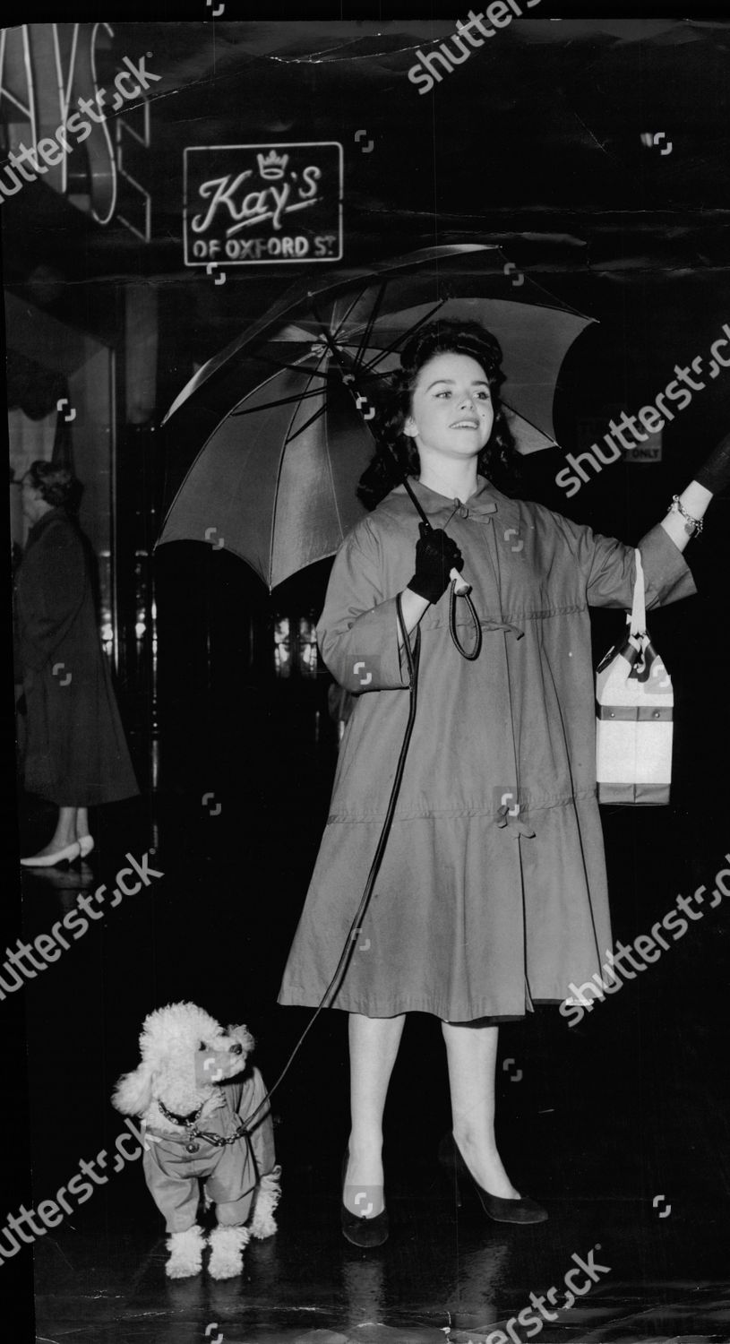 Singer Sally Kelly Her Dog Gina Editorial Stock Photo - Stock Image ...