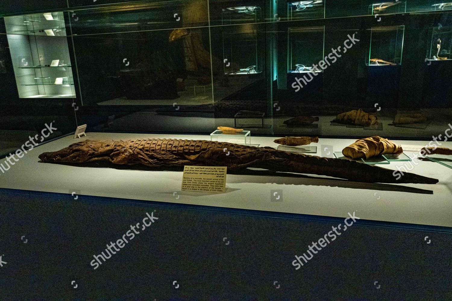 Mummification Museum Intended Provide Understanding Process Editorial ...