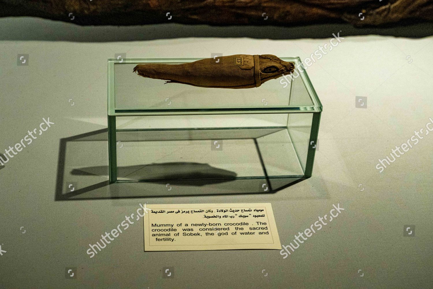 Mummification Museum Intended Provide Understanding Process Editorial ...