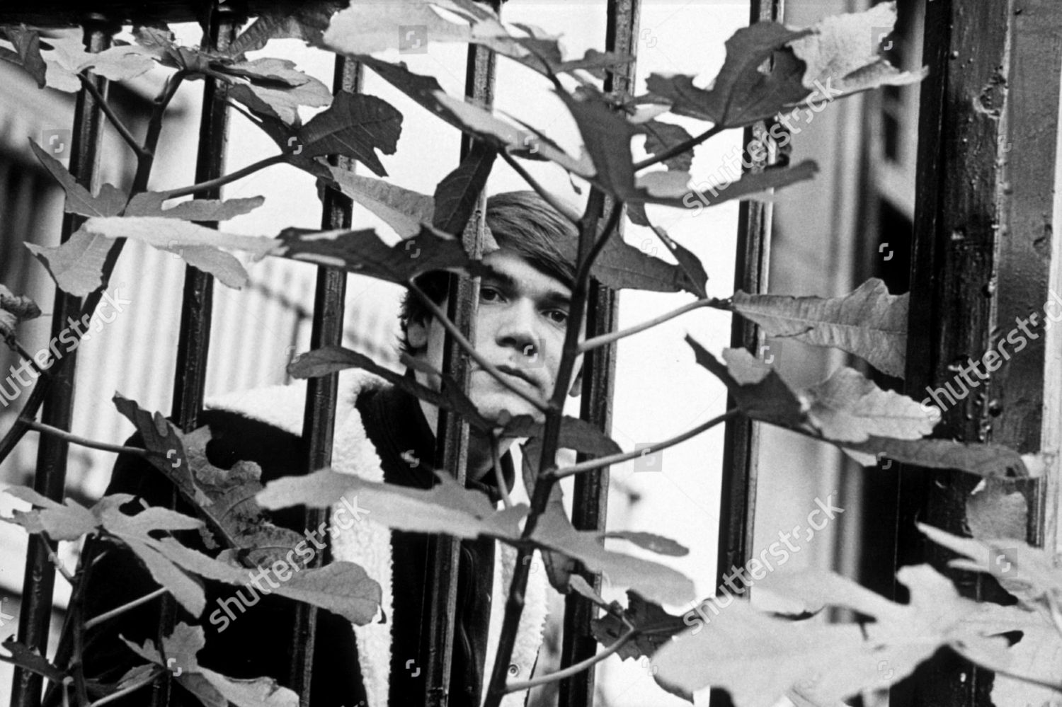 Brian Hyland 1965 Editorial Stock Photo - Stock Image | Shutterstock