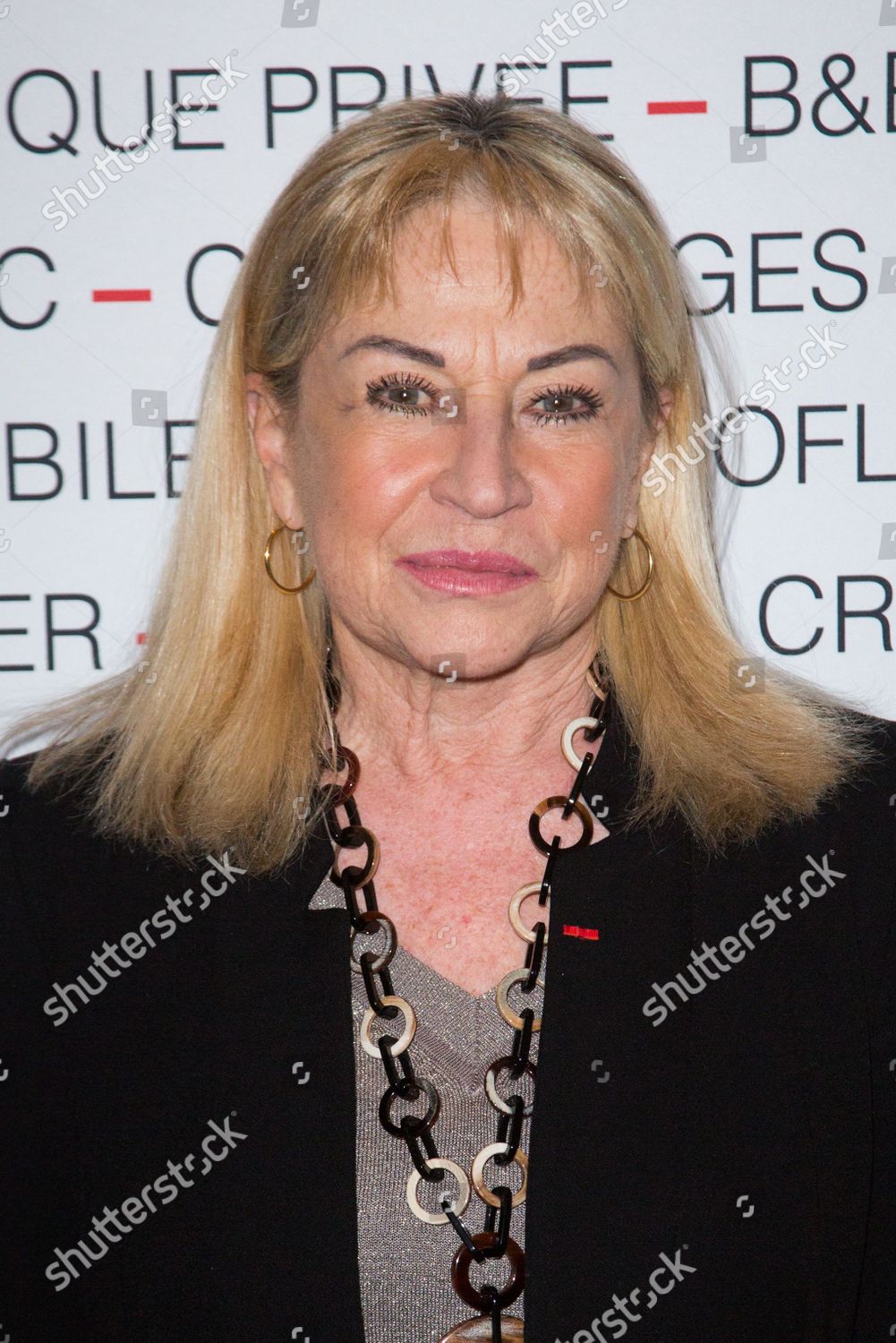 Catherine Dumas Senatrice Paris Attends Chinese Editorial Stock Photo ...