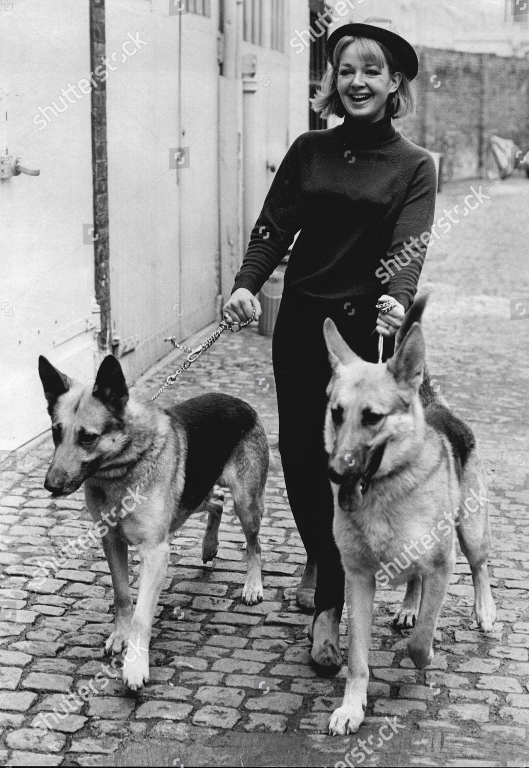 Actress Mitzi Rogers Walks Her Dogs Editorial Stock Photo - Stock Image ...