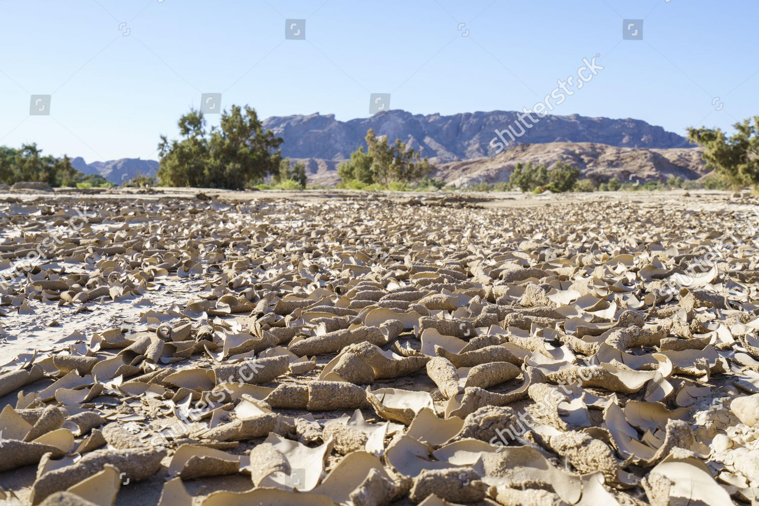 Parched Ground Dry Riverbed Cracked Clay Editorial Stock Photo - Stock ...