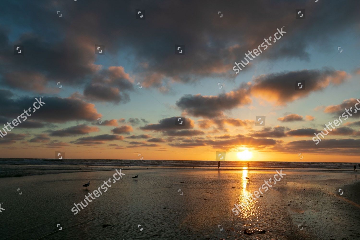Sunset Torrey Pines State Beach Editorial Stock Photo - Stock Image ...