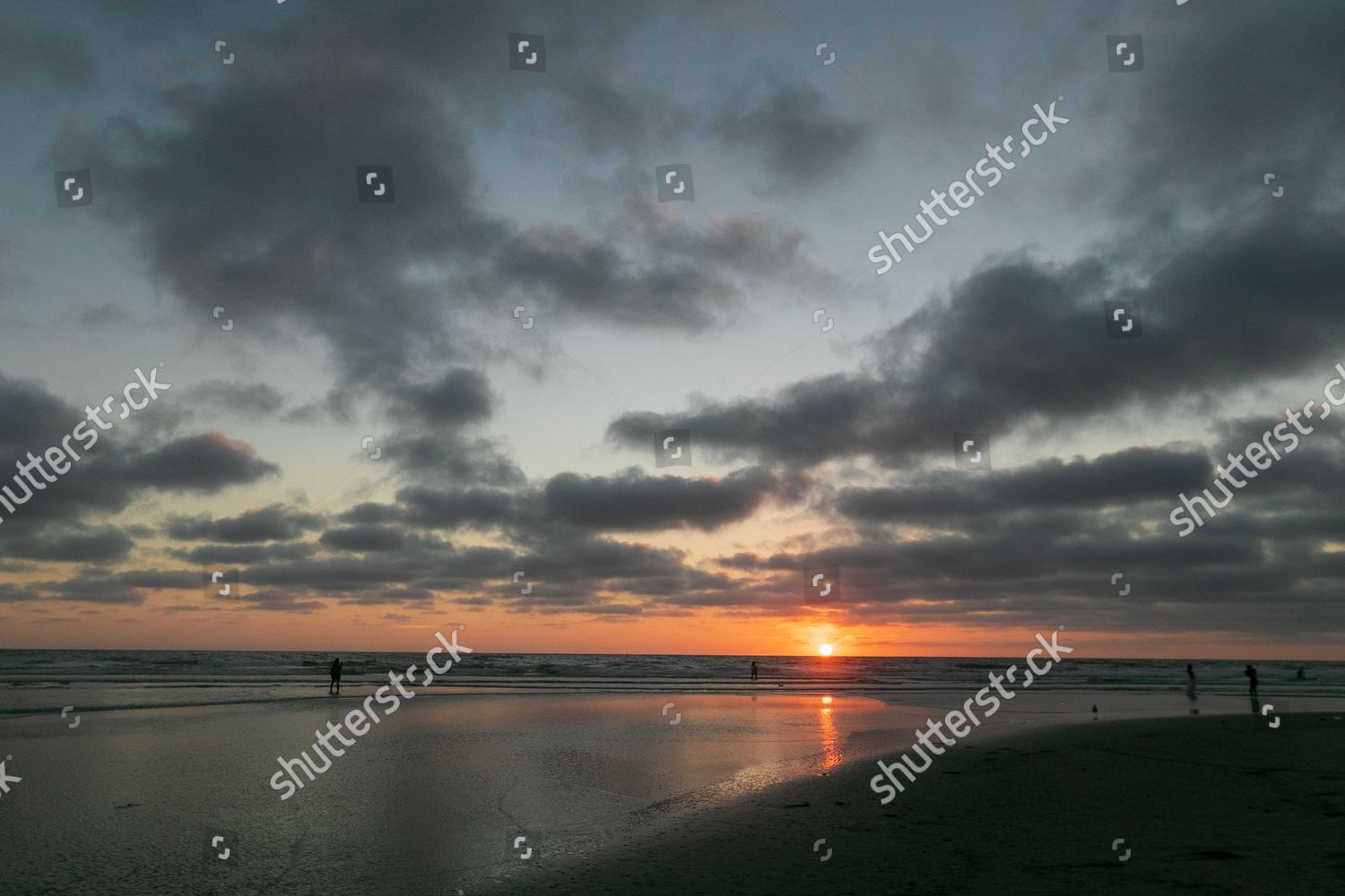 Sunset Torrey Pines State Beach Editorial Stock Photo - Stock Image ...