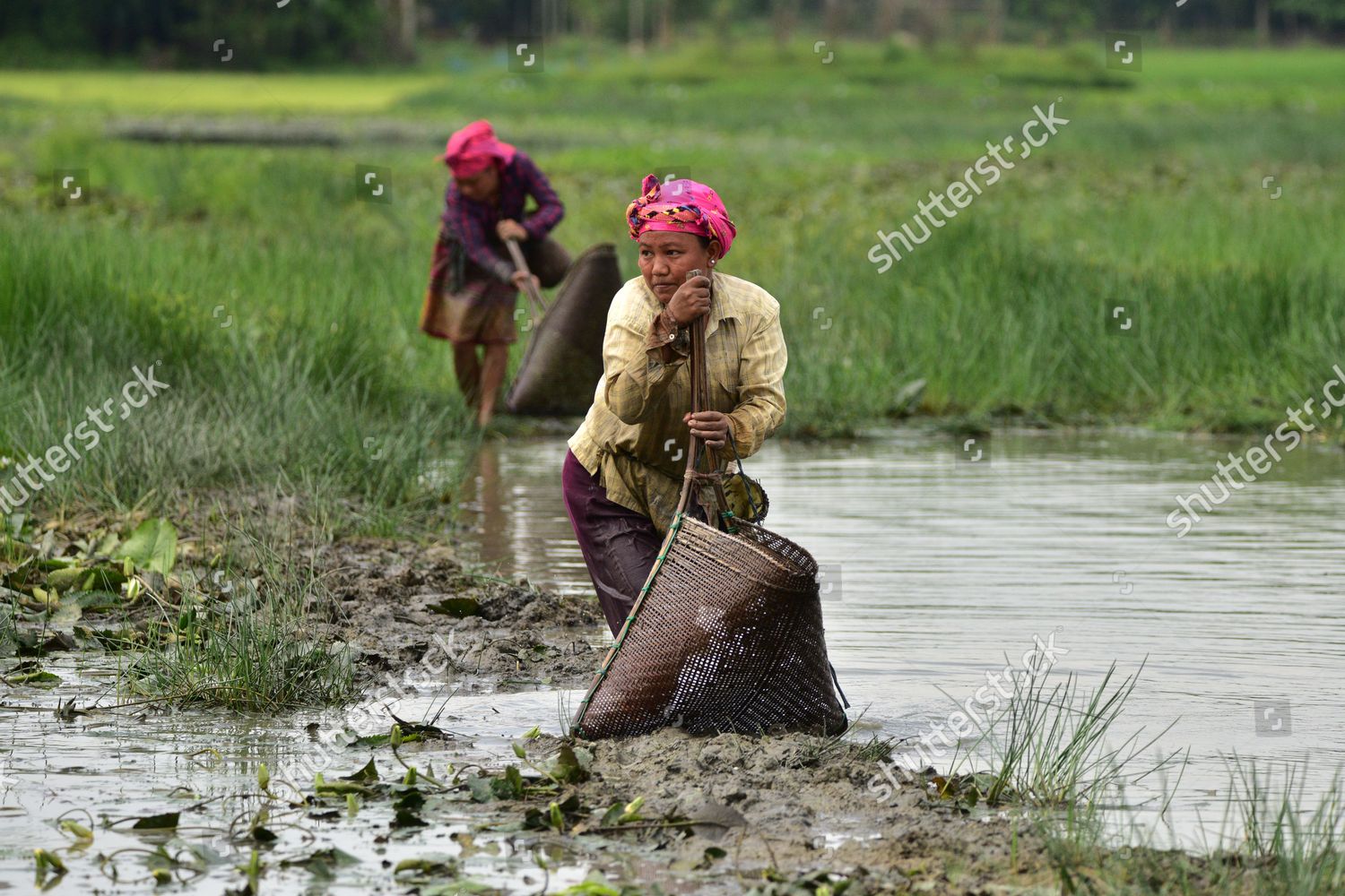 People Catch Fish Partially Driedup Wetland Editorial Stock Photo ...