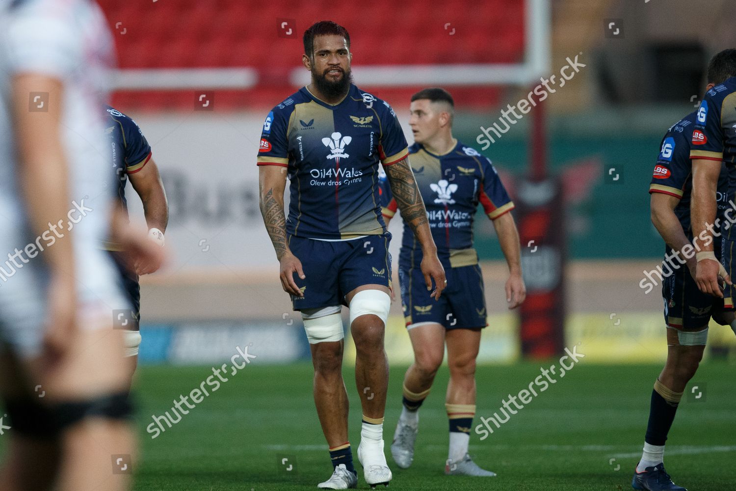 Vaea Fifita Scarlets Editorial Stock Photo - Stock Image | Shutterstock