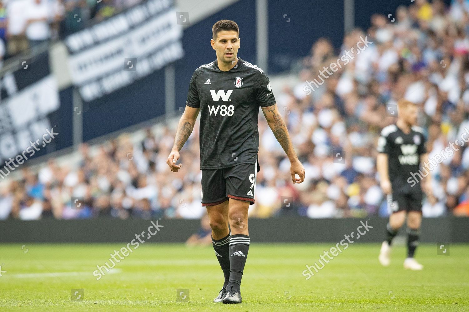 Fulham Forward Aleksandar Mitrovic 9 During Editorial Stock Photo ...