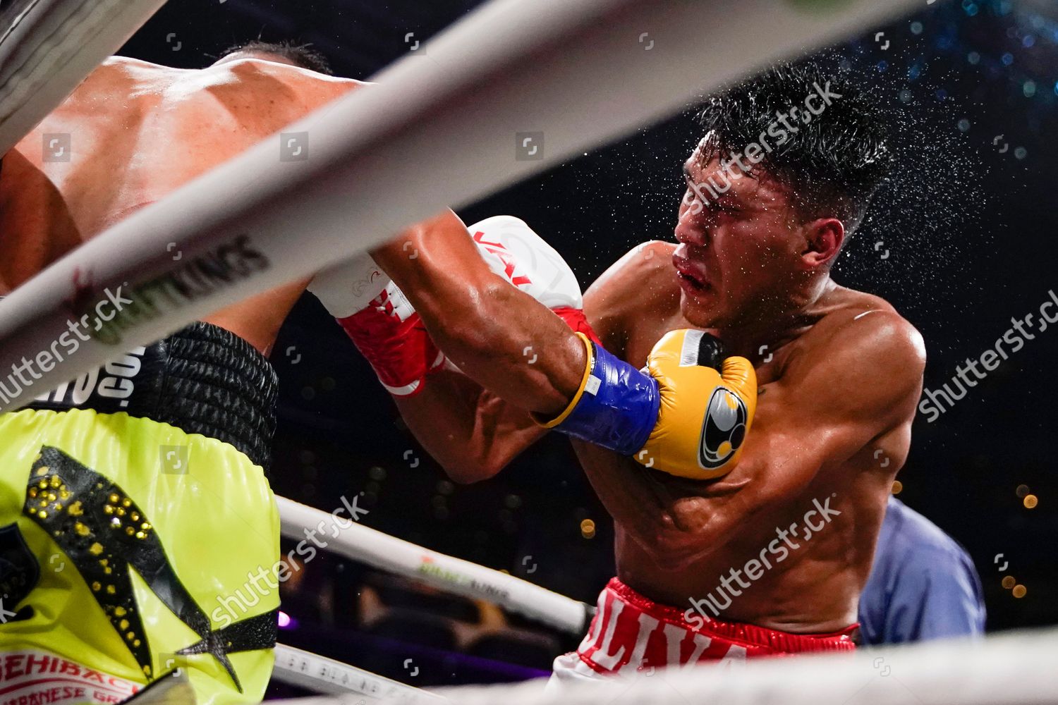 Miguel Flores R Fights Abner Mares Editorial Stock Photo - Stock Image | Shutterstock