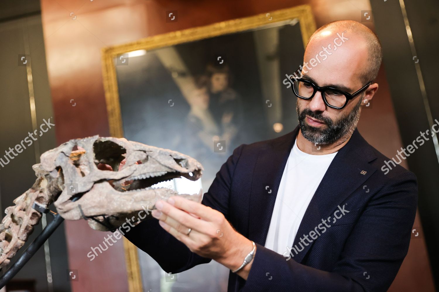 Italian Paleontologist Iacopo Briano Shows Cranium Editorial Stock ...
