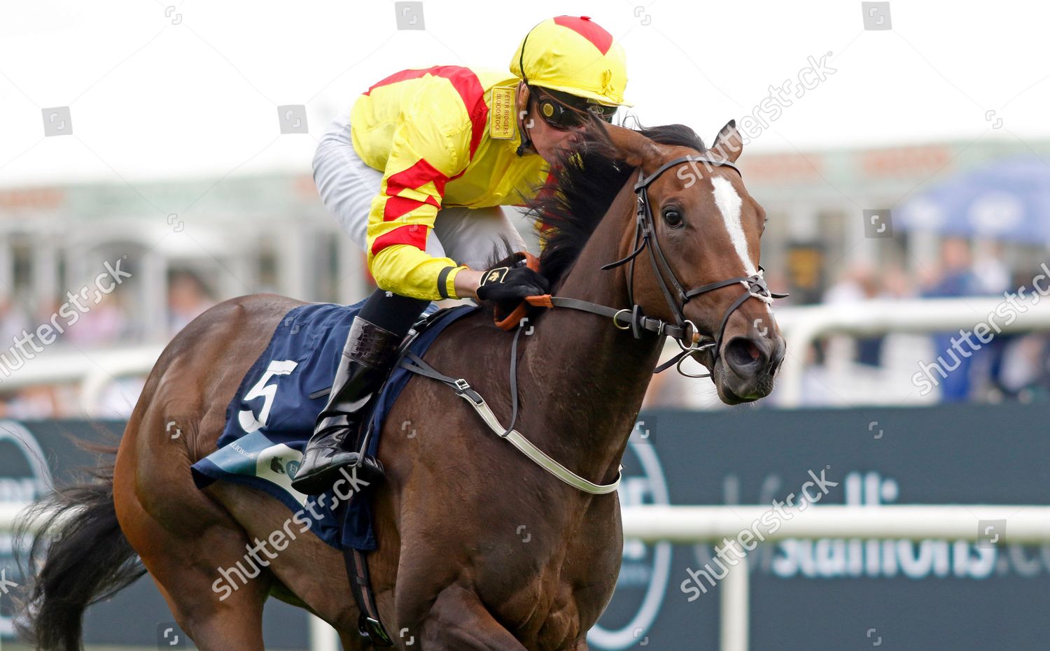 Bonny Angel John Fahy Wins British Editorial Stock Photo - Stock Image ...