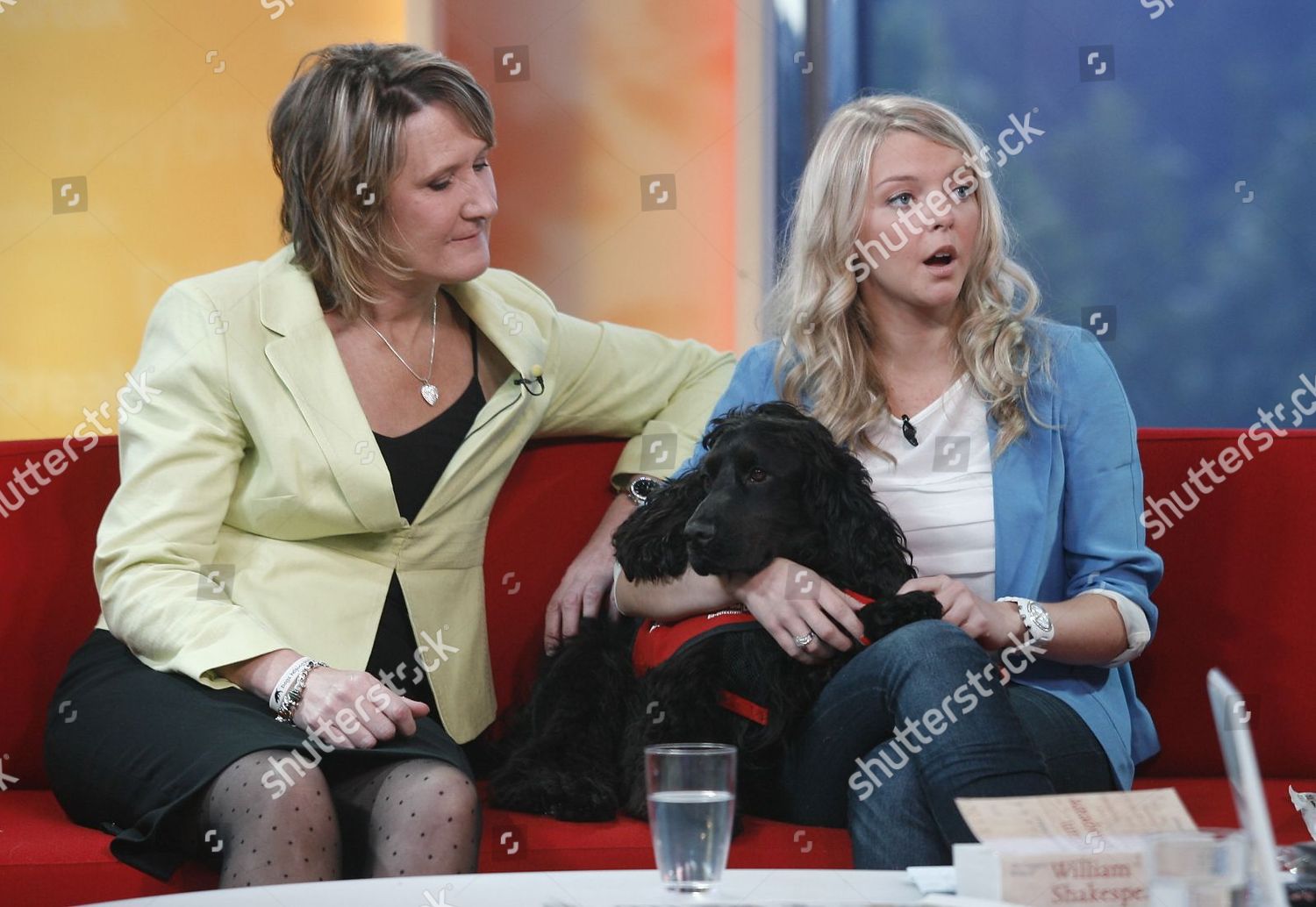Kelly Sears Claire Guest Theo Dog Editorial Stock Photo - Stock Image ...