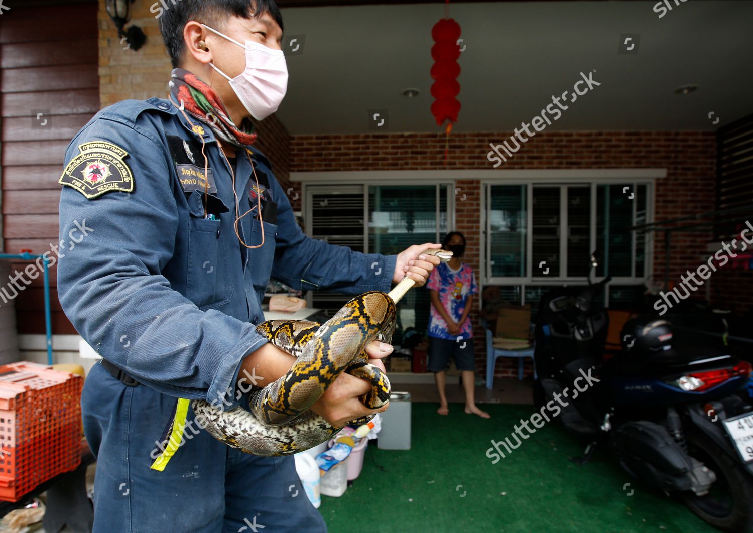 Thai Fireman Phinyo Pukphinyo Captures Python Editorial Stock Photo ...