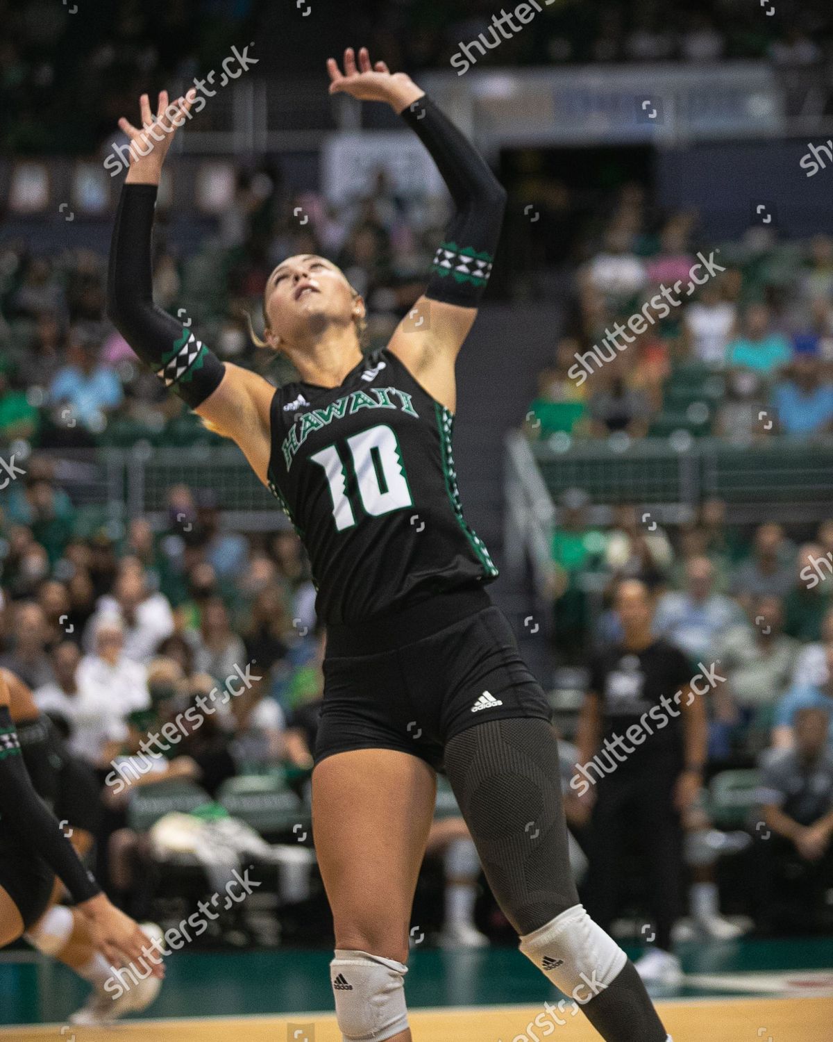 Hawaii Setter Kate Lang Chases Down Editorial Stock Photo - Stock Image ...