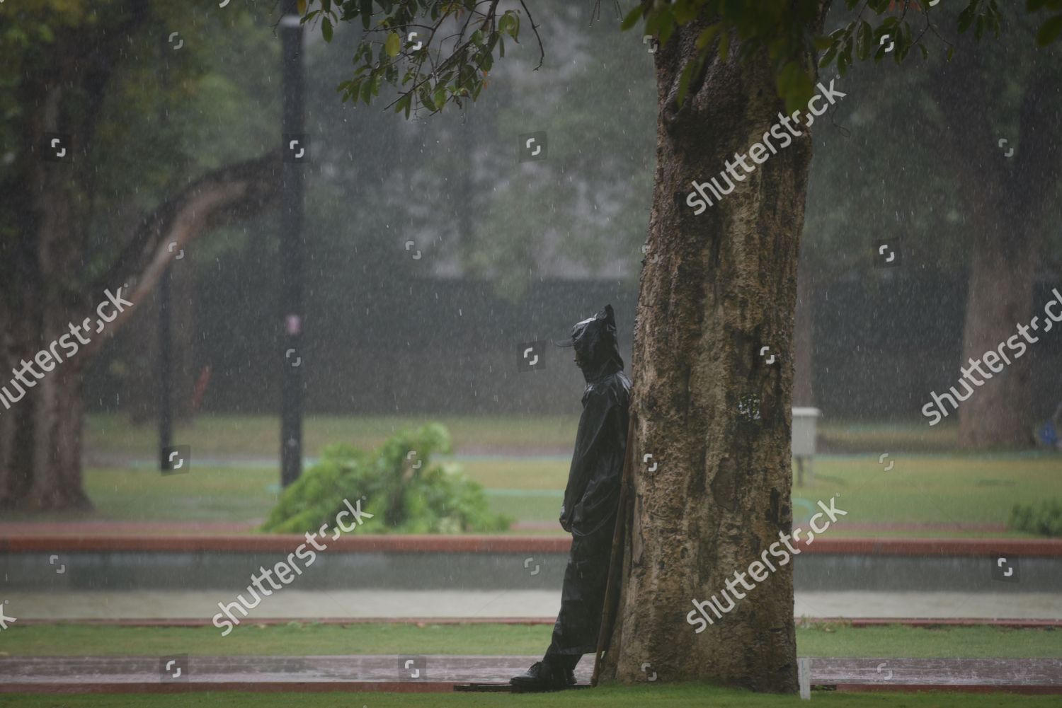 Man Takes Shelter Rain Under Tree Editorial Stock Photo - Stock Image ...