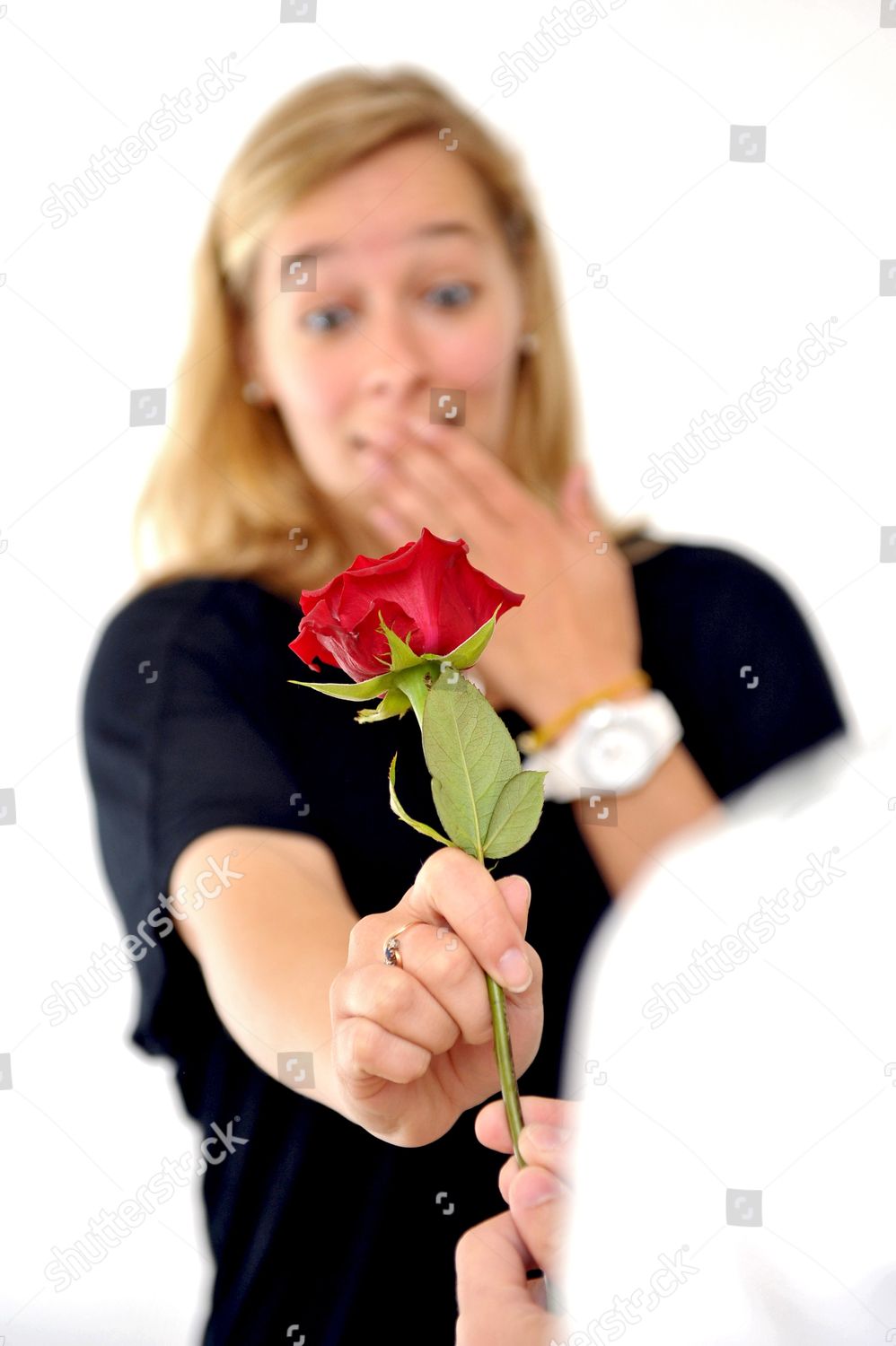 Model Released Young Woman Receiving Rose Editorial Stock Photo - Stock ...