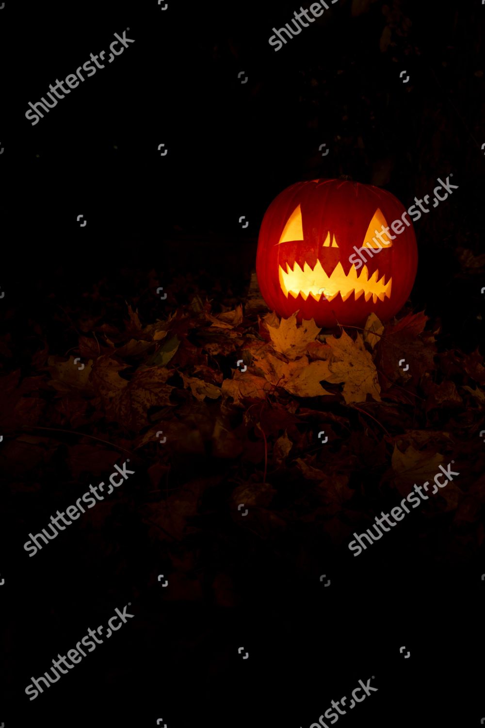 Glowing Pumpkins Night Pumpkin Face Carved Editorial Stock Photo ...