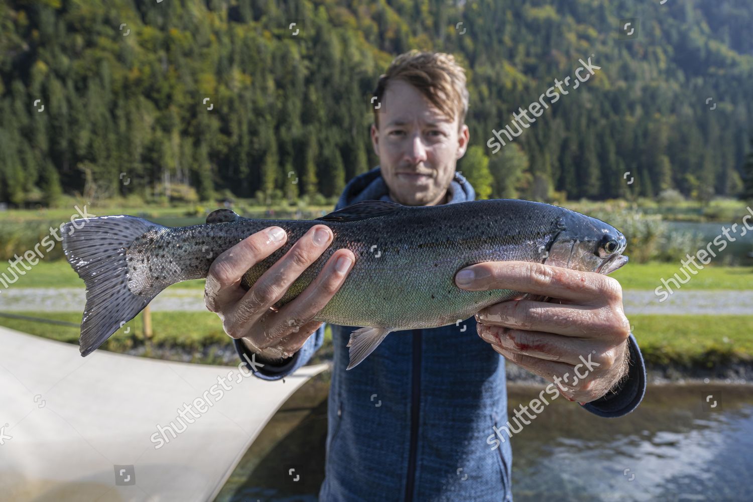 Man Holding Caught Trout Fishing Editorial Stock Photo - Stock Image ...