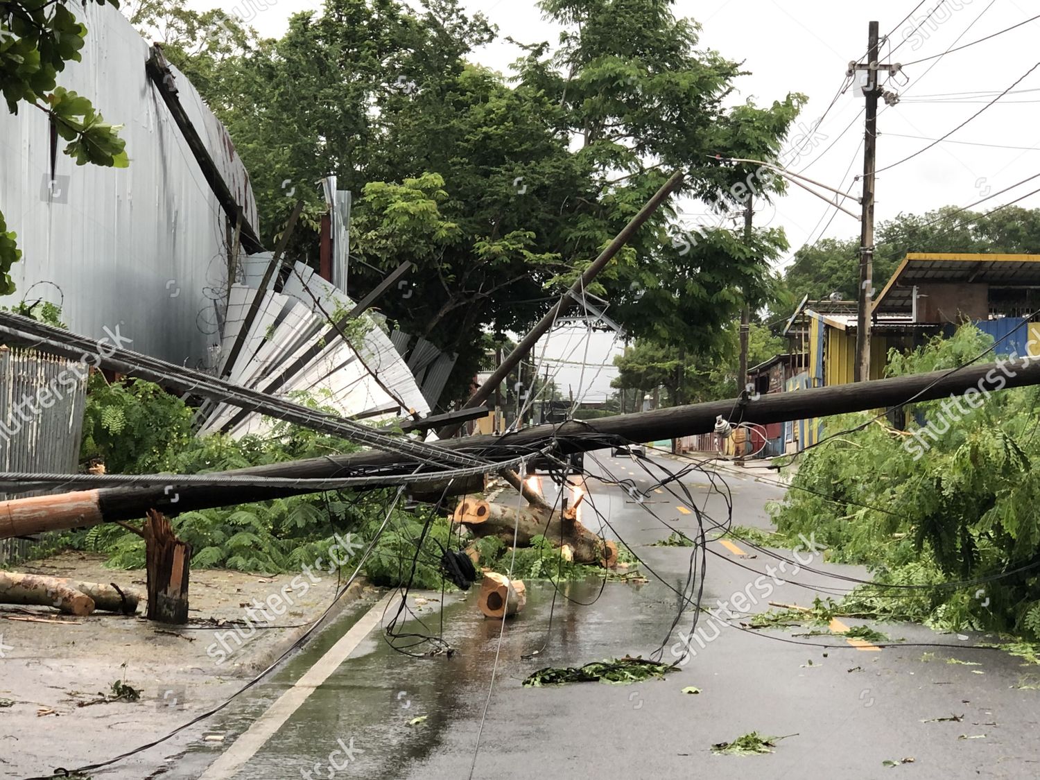 Fallen Electrical Poles After Hurricane Fiona Editorial Stock Photo ...