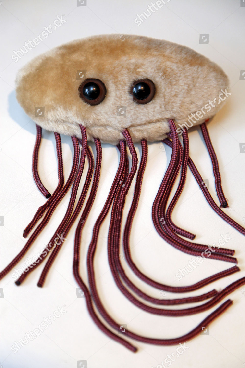 Fluffy E Coli Bacteria Bug Toy Editorial Stock Photo - Stock Image ...